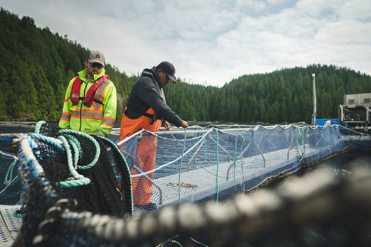 Rope Ladders BC, Safety Nets | News & Updates | Grey River Netting