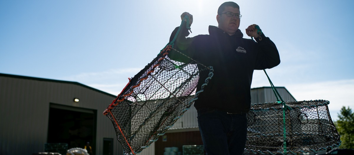 Fishing Traps North America, Crab Traps, Prawn Traps | Grey River Netting